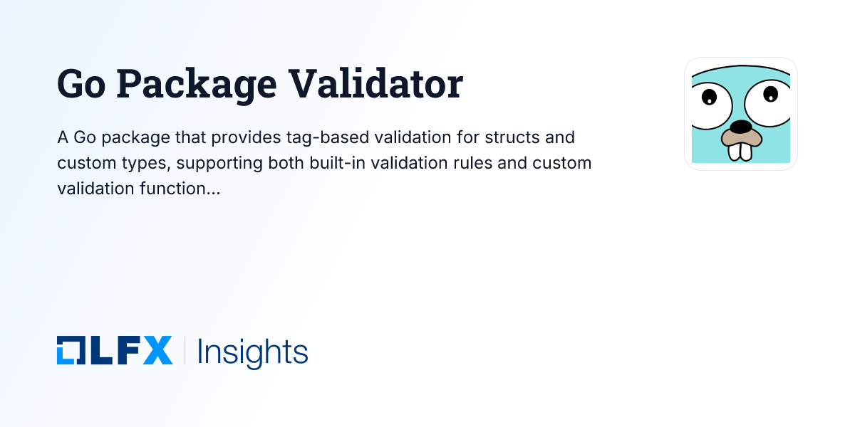 Go Package Validator Development Insights